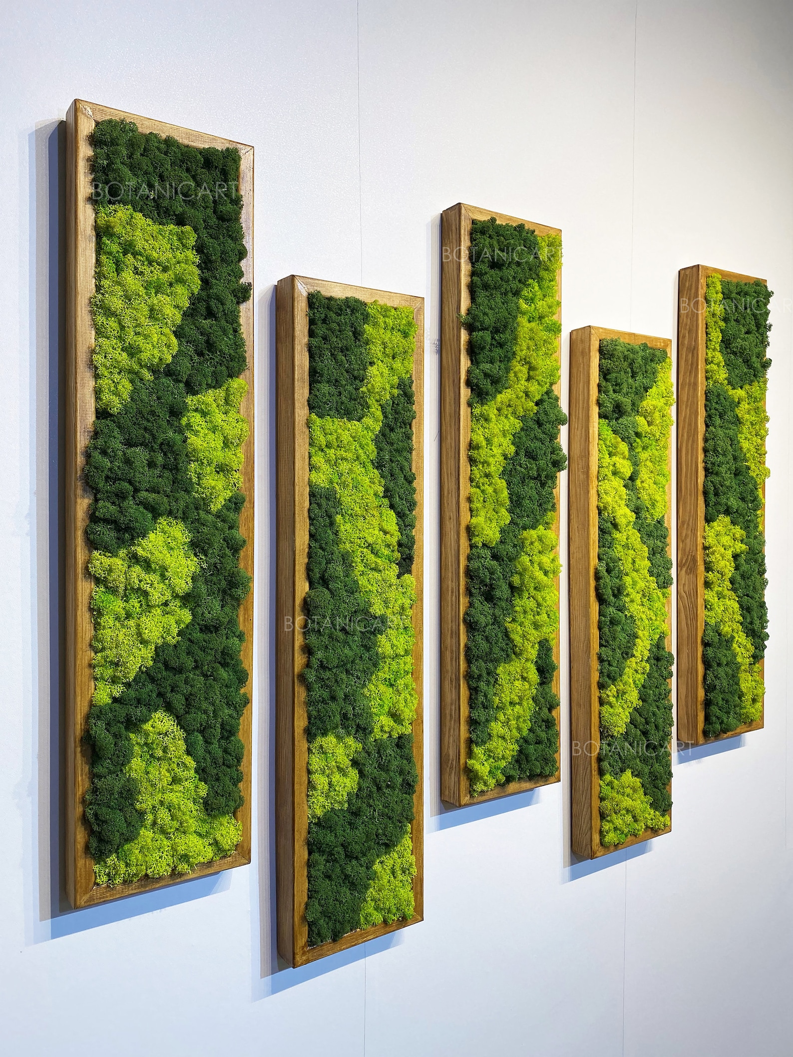 Moss Wall Art: The Ultimate Guide To Transforming Your Space