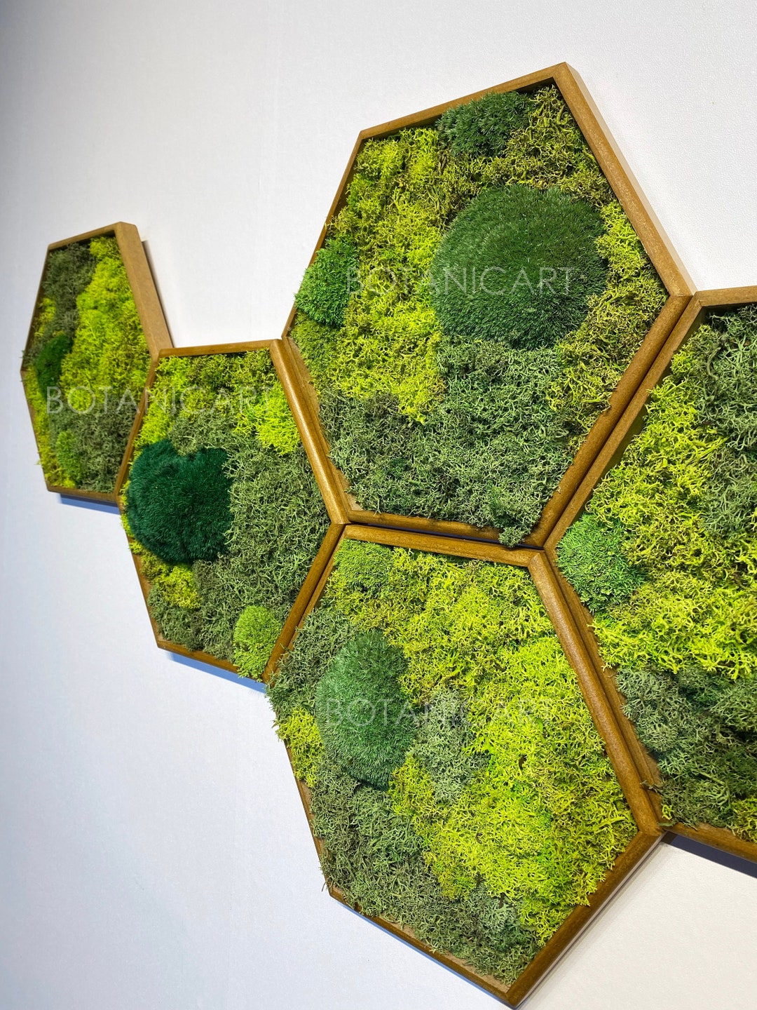 Moos Hexagon Wandpaneele mit echtem Moos Keine Wartung - Etsy.de