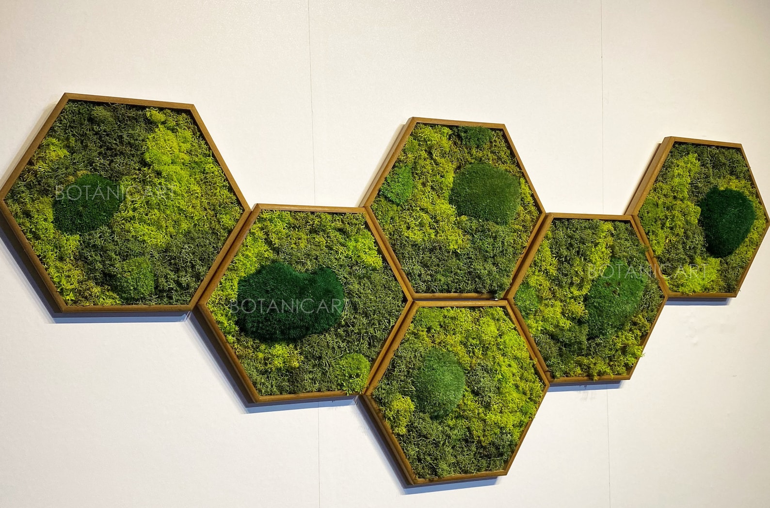 Moss Hexagon Wall Panels Made With Real Moss No Maintenance - Etsy Canada