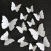 White & Metallic Silver 3D Butterfly Set/decorative Butterfly Cake ...