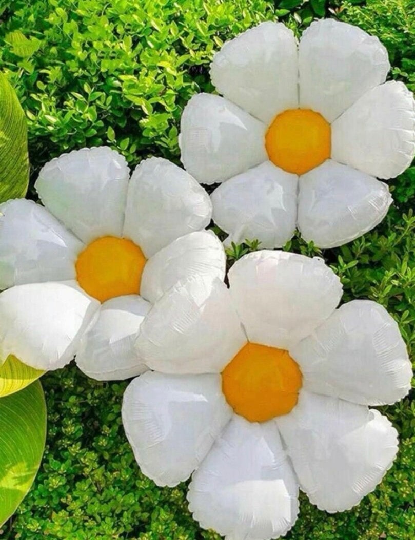 Daisy Shaped Balloons/daisy Birthday Party/daisy Baby Shower Ideas/1st ...