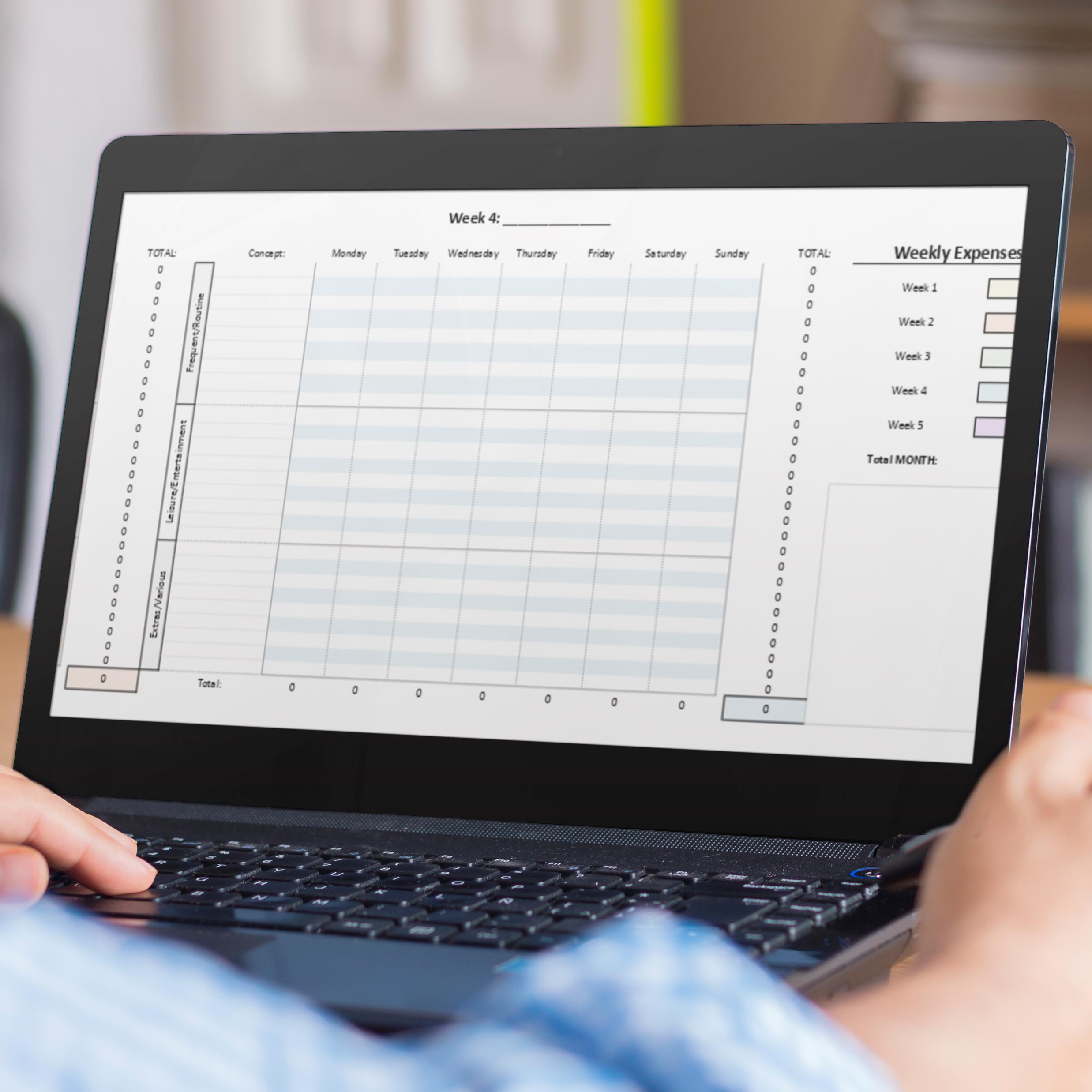 Income and Expense Template, Kakebo English Excel or Printable Personal ...
