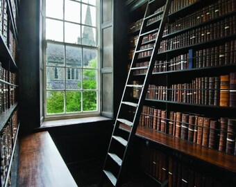 Zoom Virtual Background Bookcase - Etsy