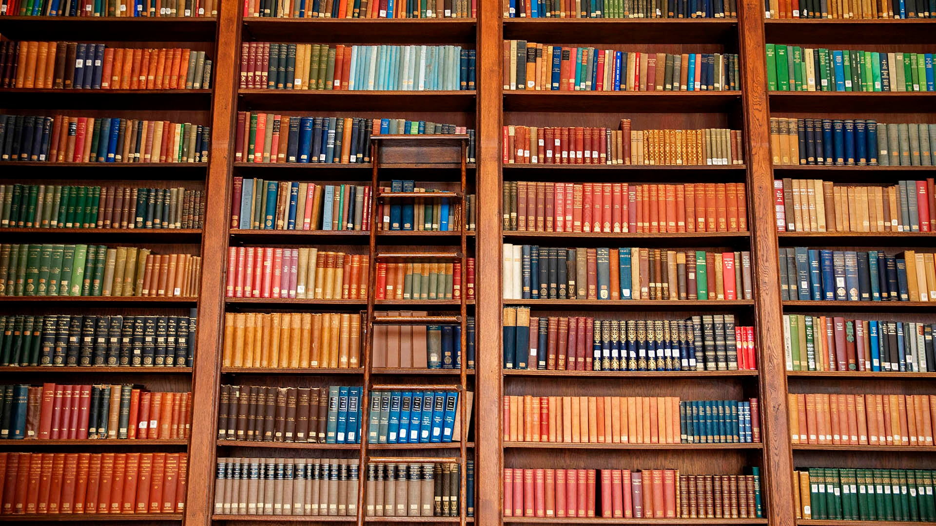 Zoom de librería, fondo virtual, librería, fondo de oficina de fondo ...