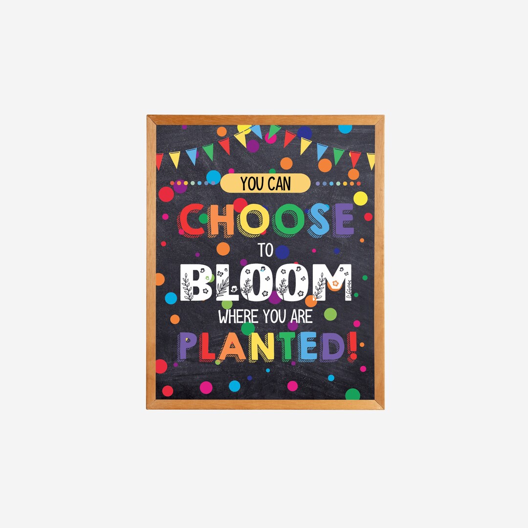 School Counselor Office Decoration, Classroom Decor, School Classroom ...