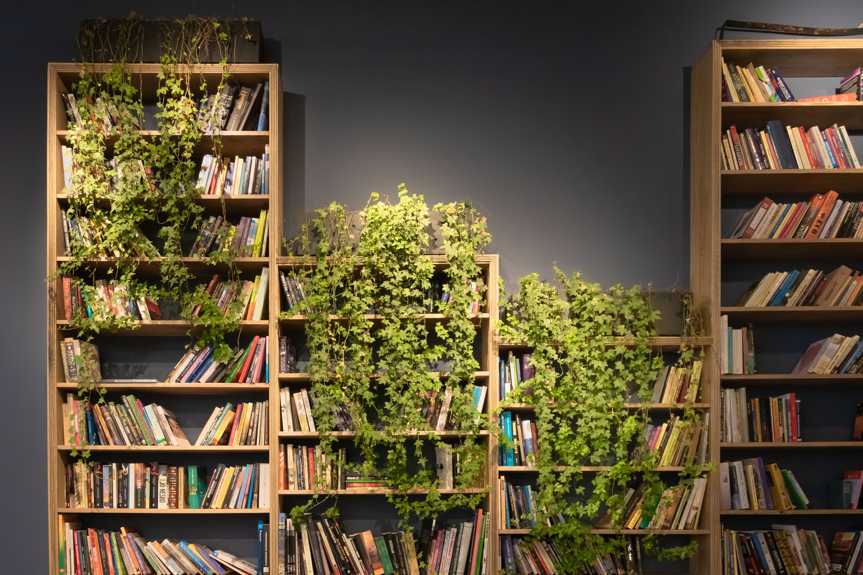 Zoom Bookcase Background | Craftyrooftop High Quality | Green Screen ...