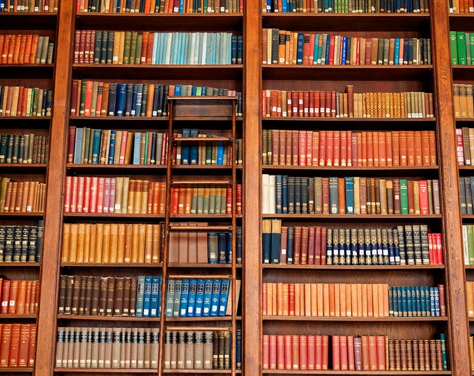 Zoom Background Bookcase, Zoom Background Bookshelf, White Shelves MS ...