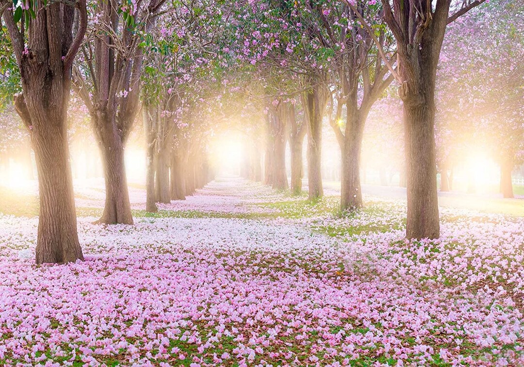 Zoom Digital Background Online Conference Microsoft Teams - Etsy