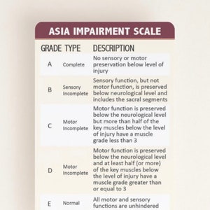 Modified Ashworth & ASIA Impairment Scales Quick Guide - Etsy