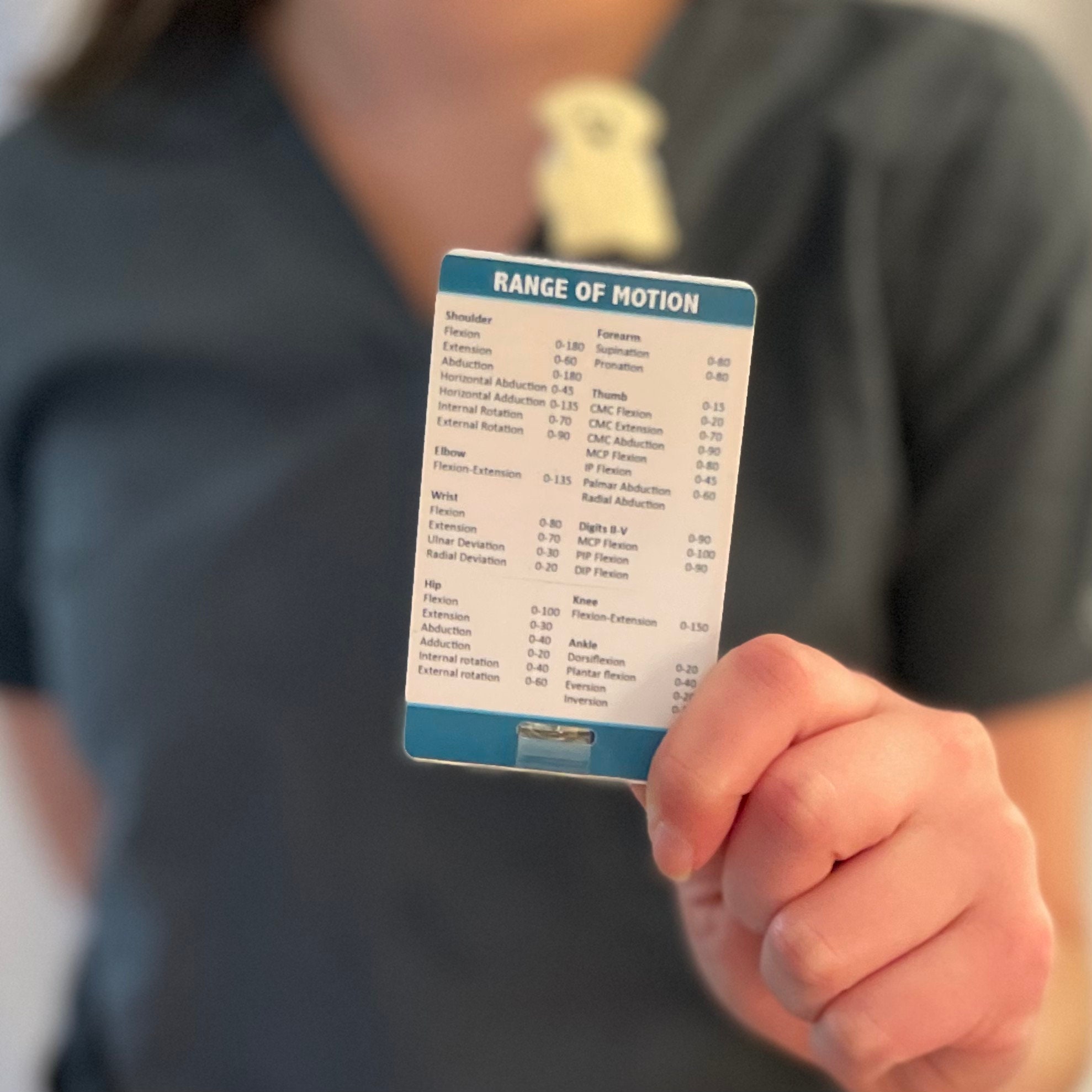 MMT & ROM Quick Guide - Etsy