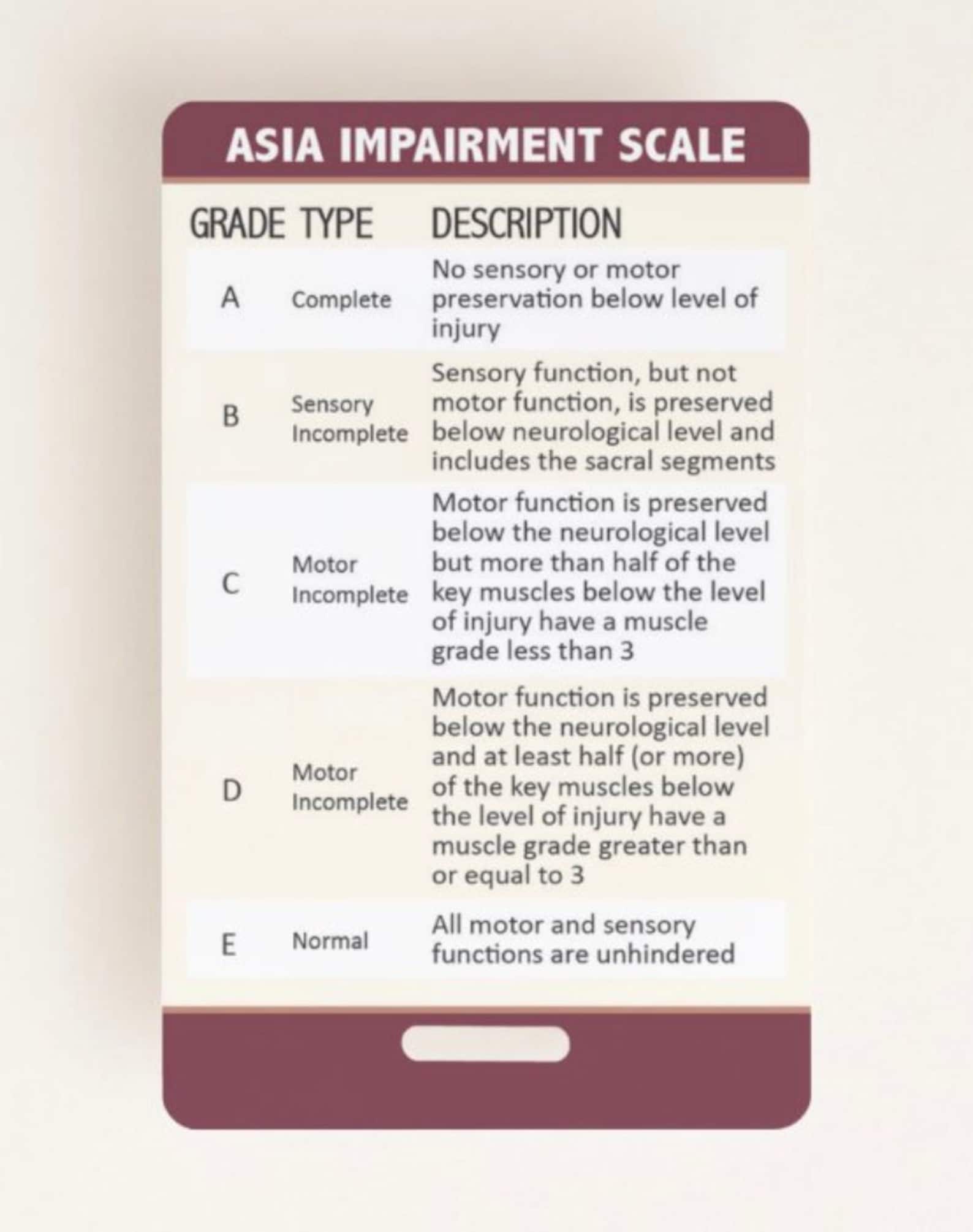 Modified Ashworth & ASIA Impairment Scales Quick Guide - Etsy