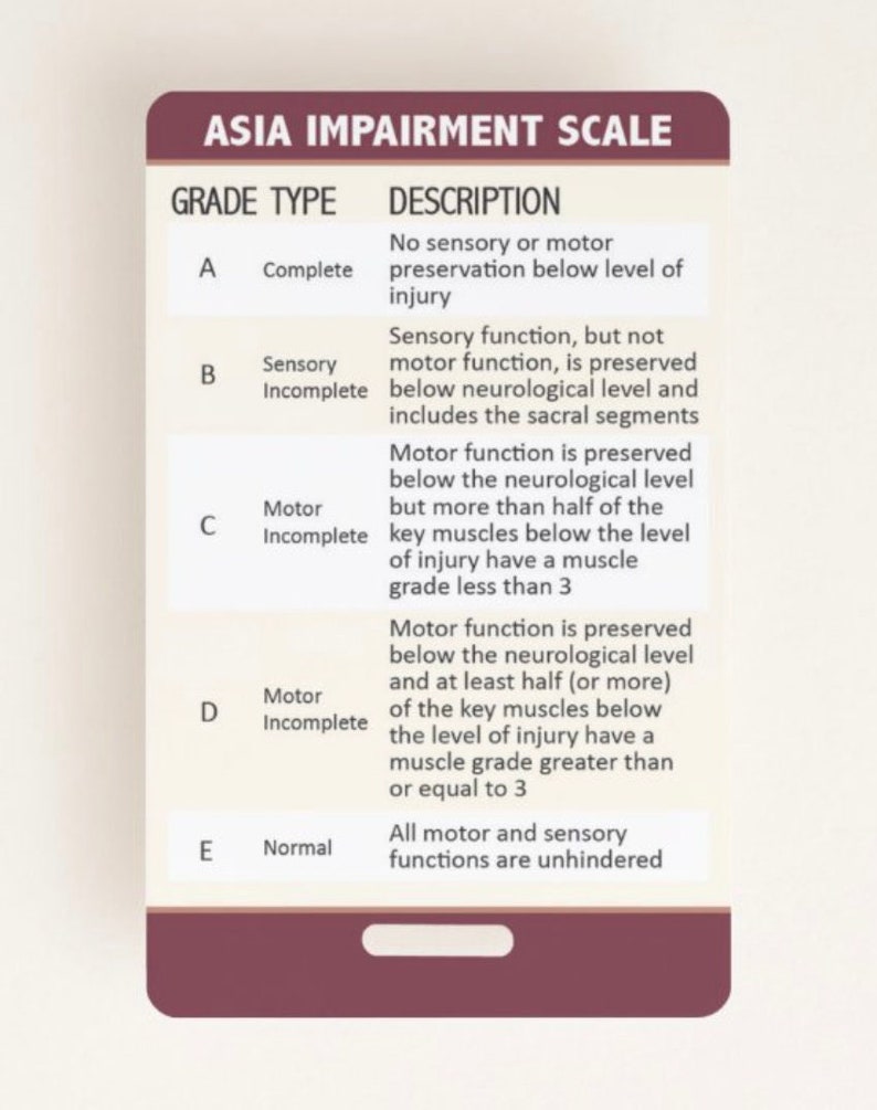 Modified Ashworth & ASIA Impairment Scales Quick Guide - Etsy