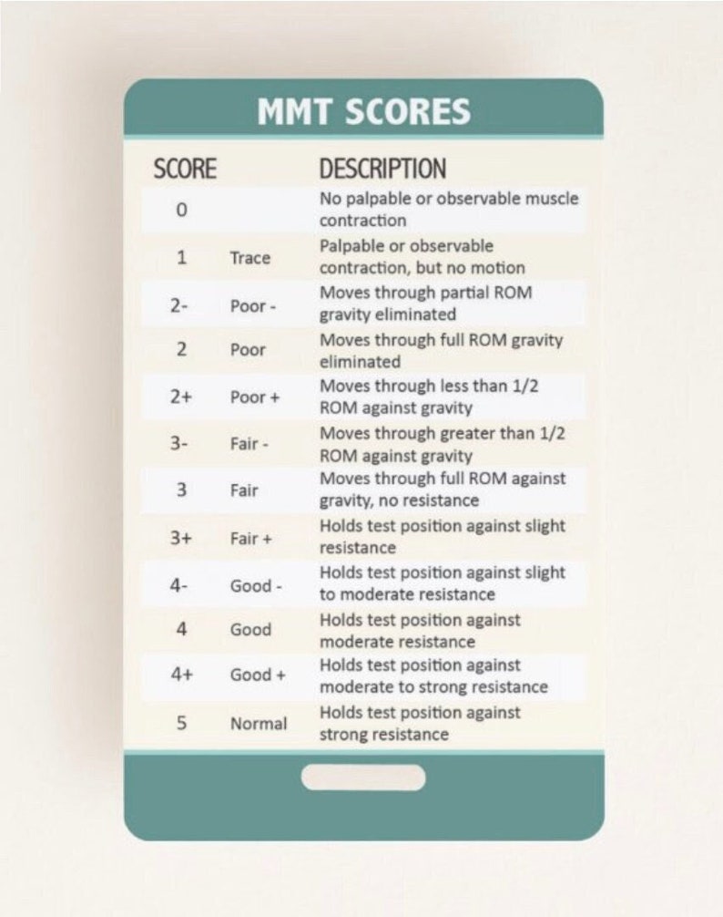 MMT & ROM Quick Guide - Etsy