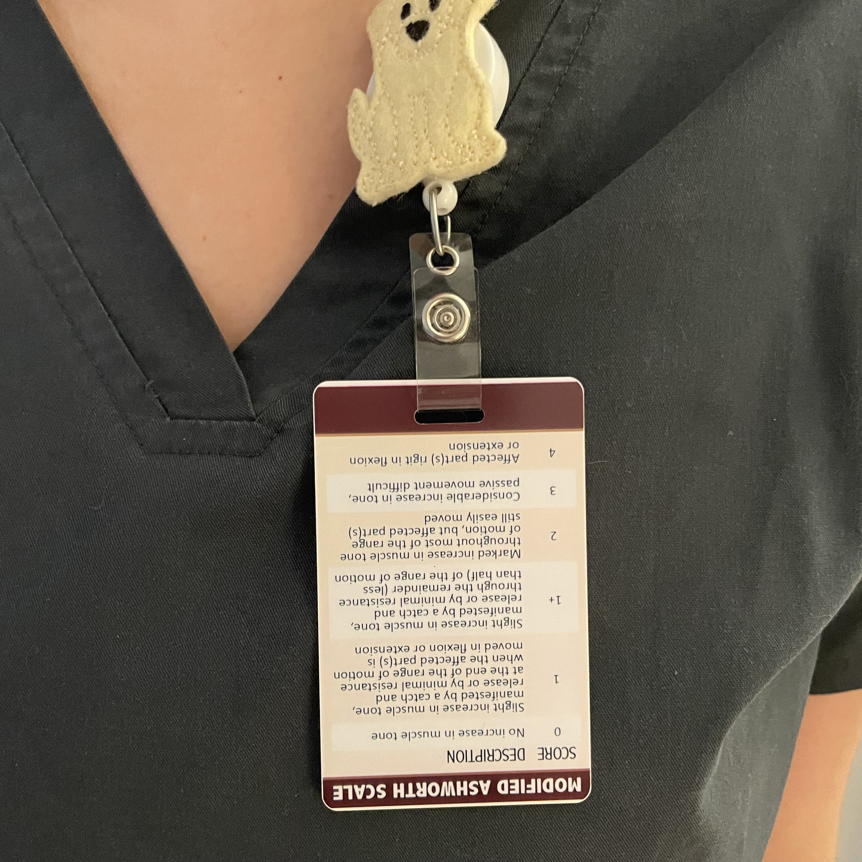 Modified Ashworth & ASIA Impairment Scales Quick Guide - Etsy