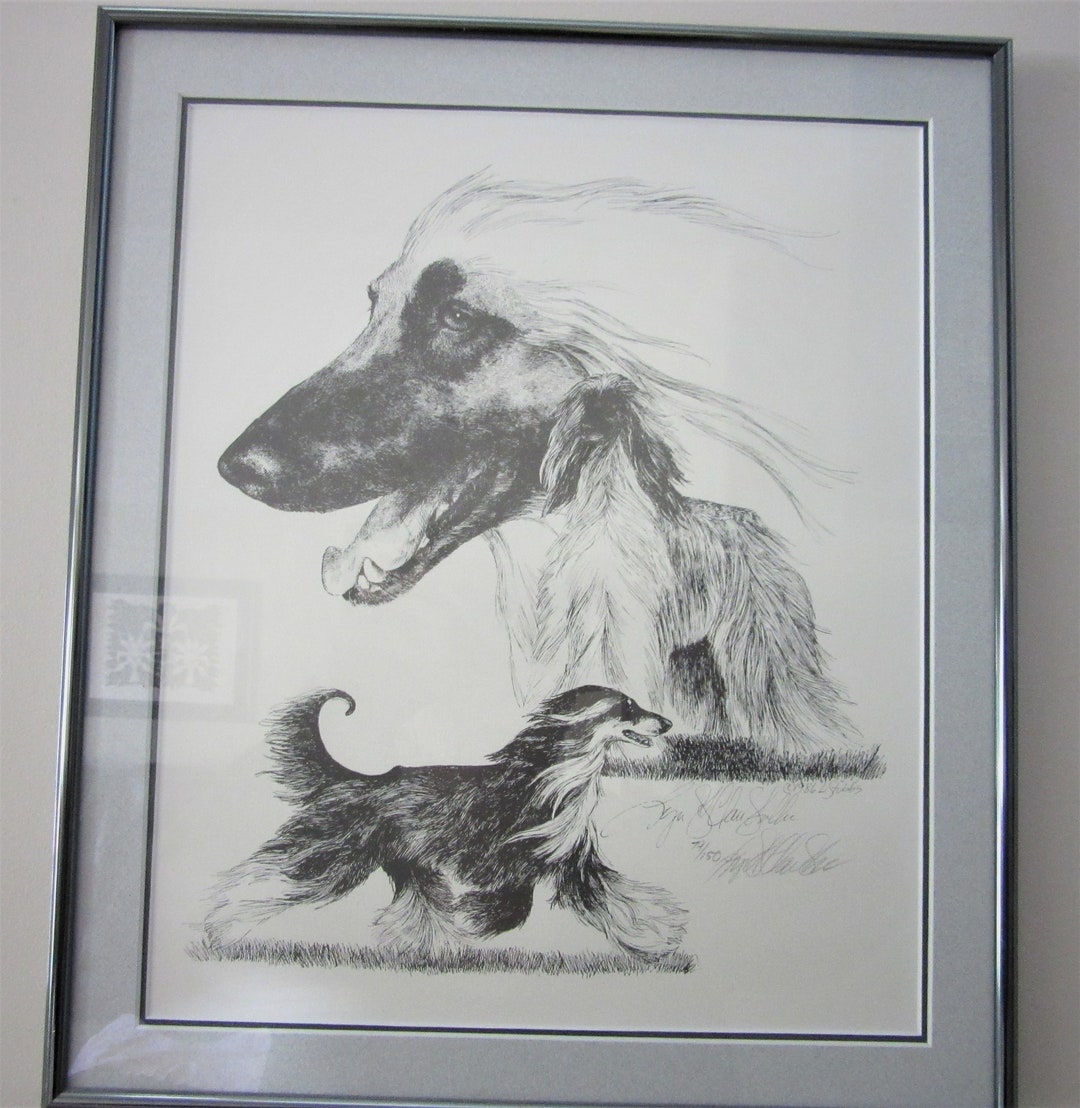 Afghan Hound Print by Lyn St. Clair Stubbs - Etsy