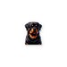 Rottweiler Vinyl Sticker - Etsy
