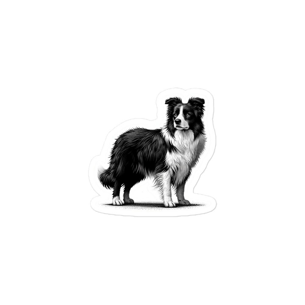 Border Collie Vinyl Sticker - Etsy