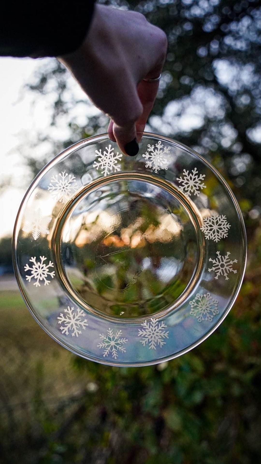 Etched Winter Christmas Snowflake Plate Cottage Core Fall Dinnerware ...