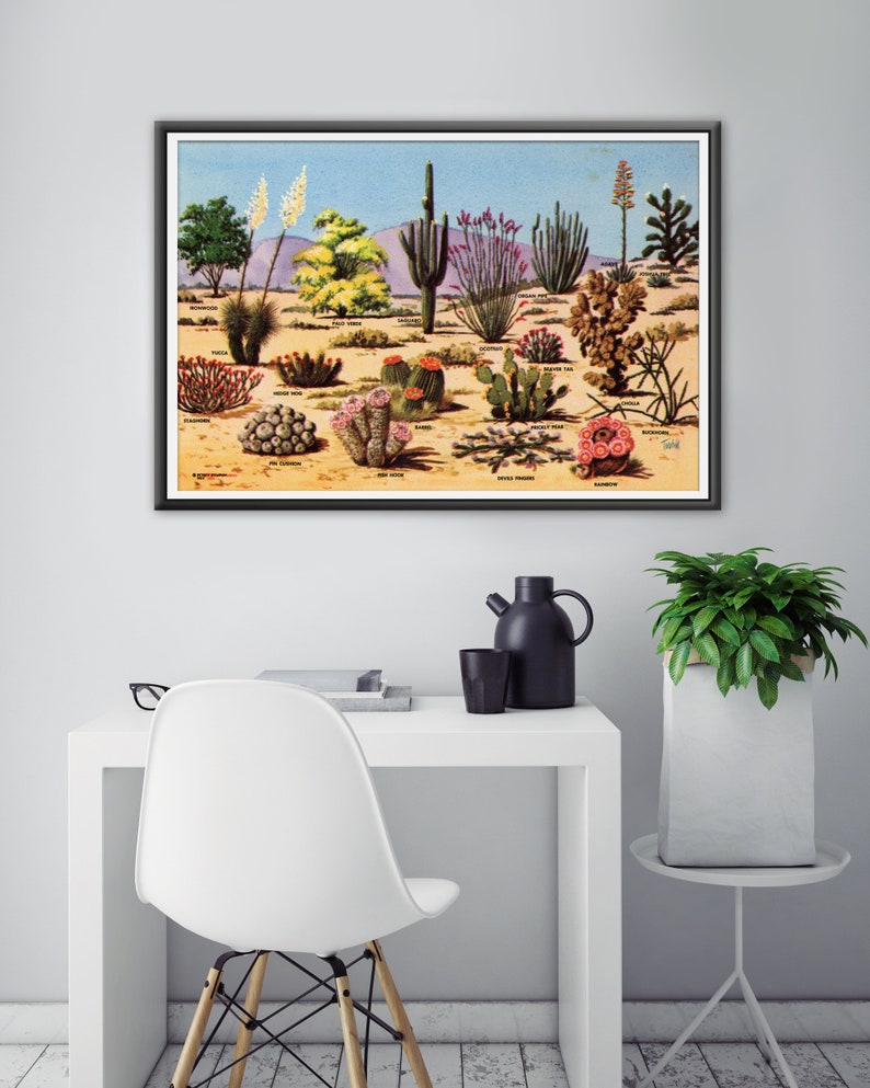 1953 Desert Cacti Poster: Vintage Southwest Botanical Art - Etsy