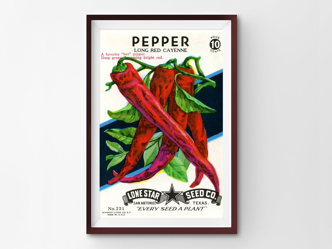 Cayenne Pepper Seed Packet POSTER! (up to 24" X 36") - Vintage ...