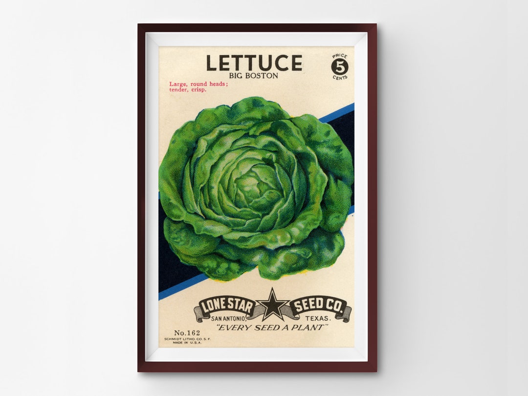 Vintage Lettuce Seed Packet POSTER! (up to 24" X 36") - Kitchen ...