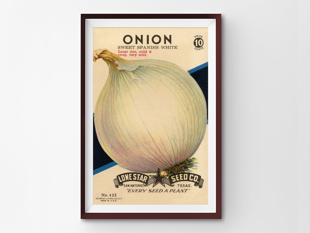 Vintage Onion Seed Packet POSTER! (up to 24" X 36") - Kitchen ...