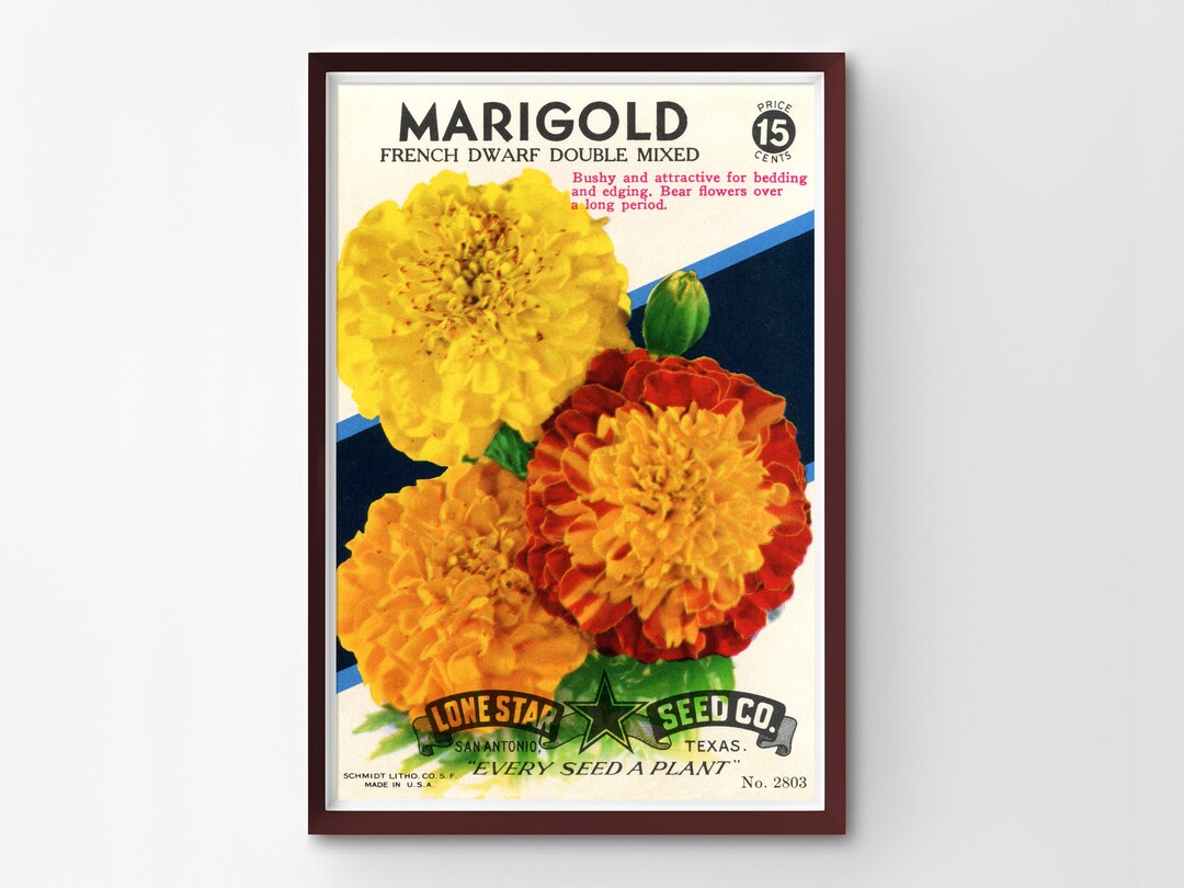 Vintage Flower Seed Packet POSTER! (up to 24" X 36") - Flowers ...