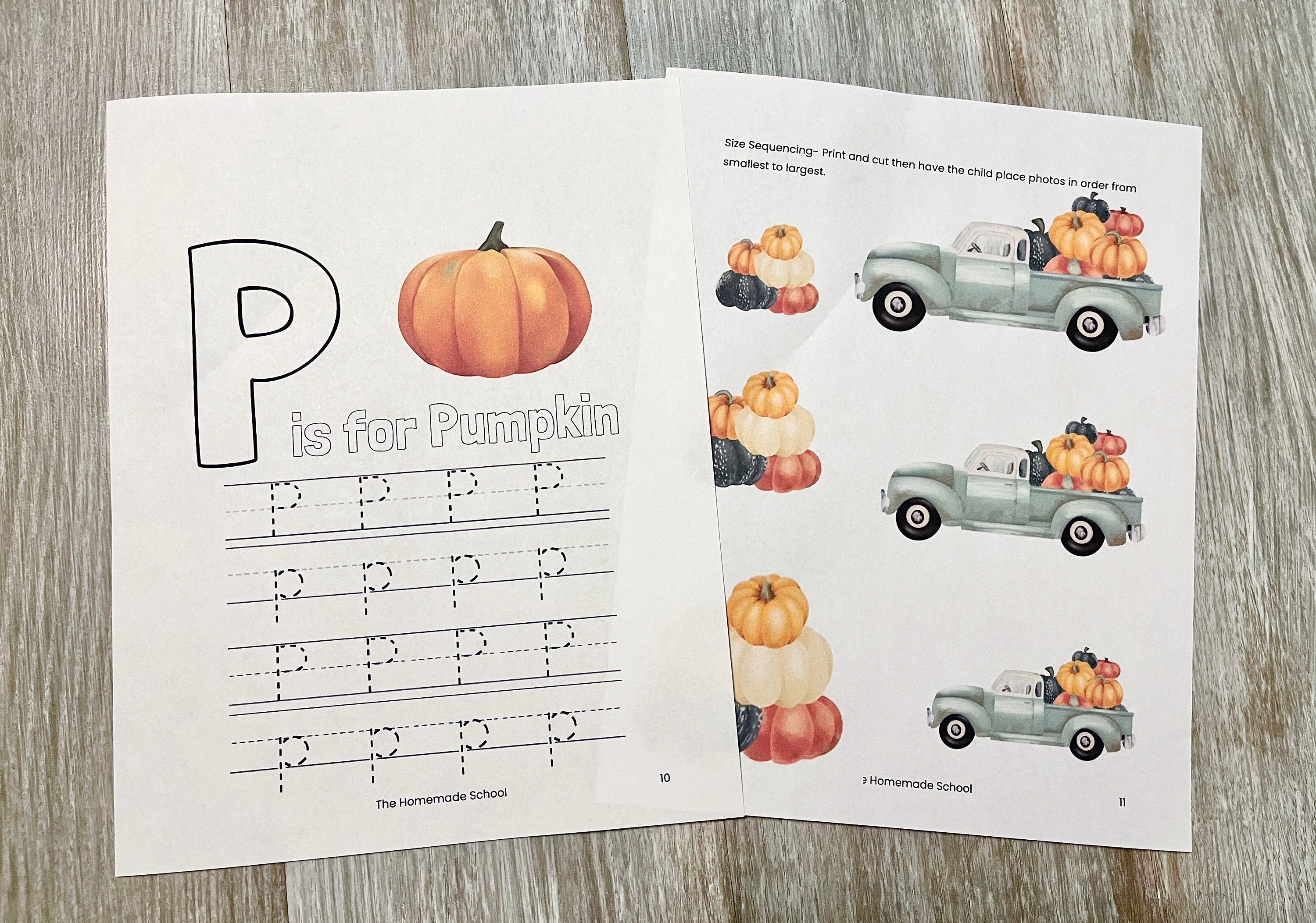 Pumpkin Unit Study, Fall Unit Study, Halloween Unit Study, Homeschool ...