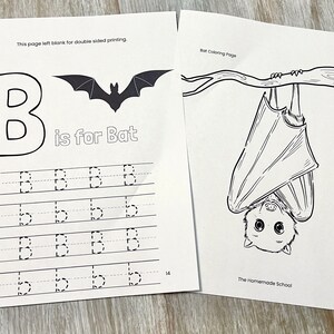 Bat Unit Study, Homeschool, Bat Printables, Bat Activity for Kids ...