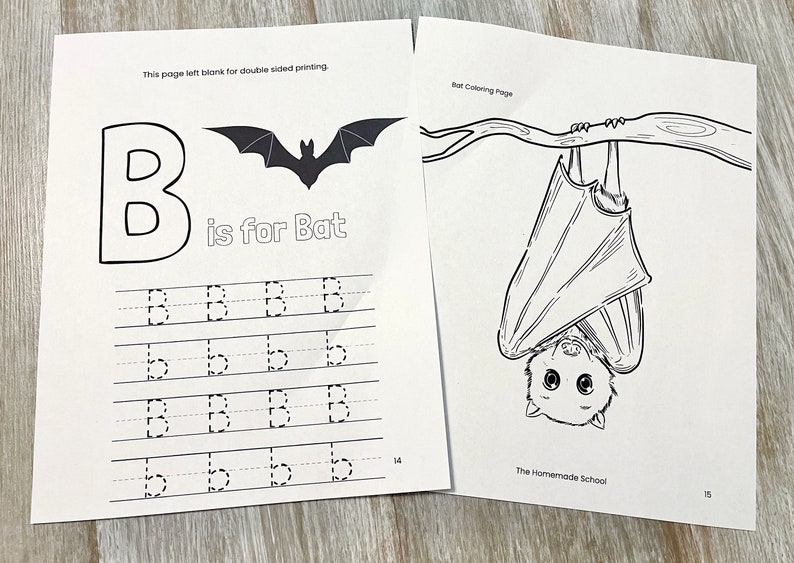 Bat Unit Study, Homeschool, Bat Printables, Bat Activity for Kids ...
