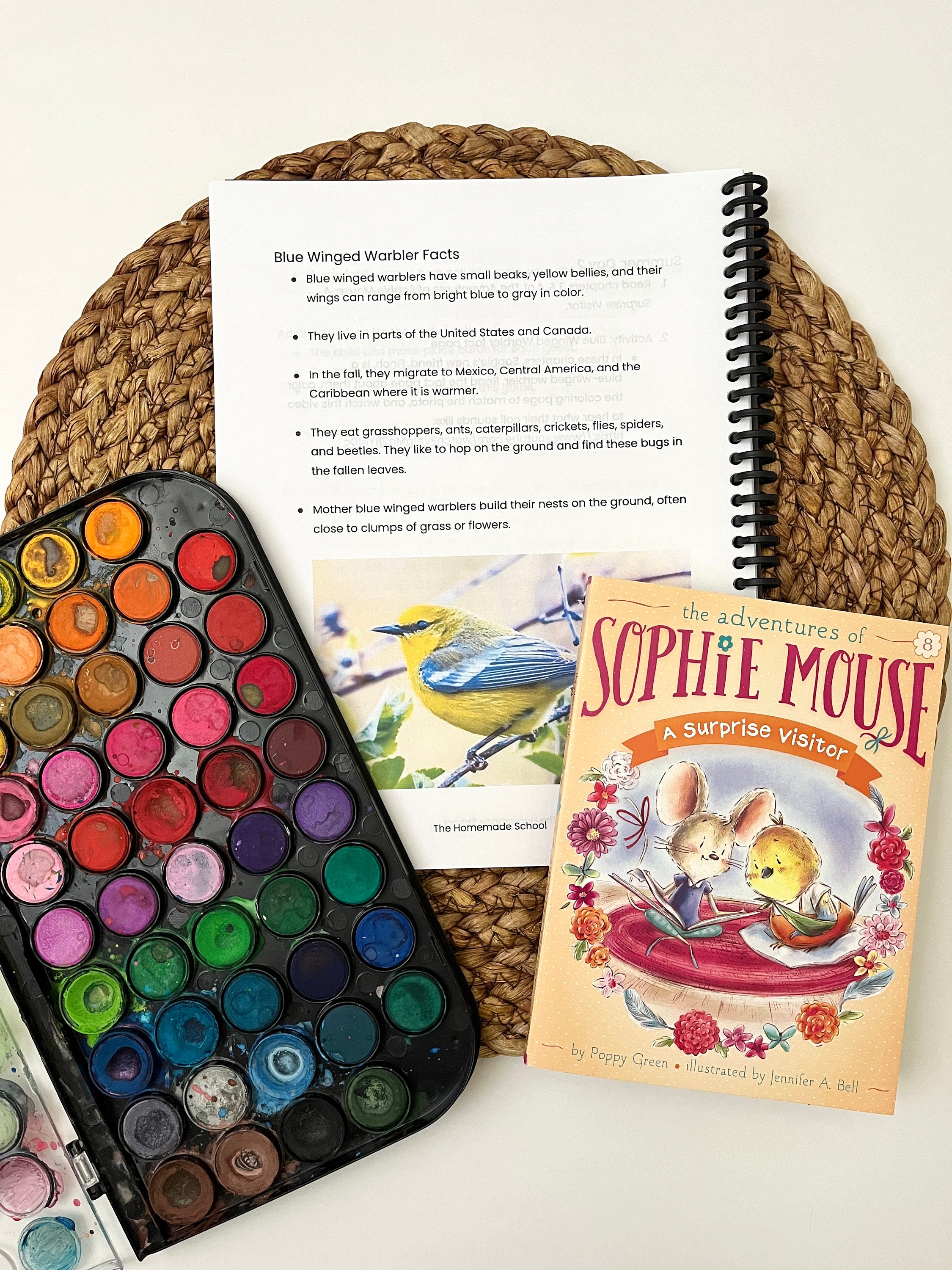 Celebrating the Seasons With Sophie Mouse - Etsy