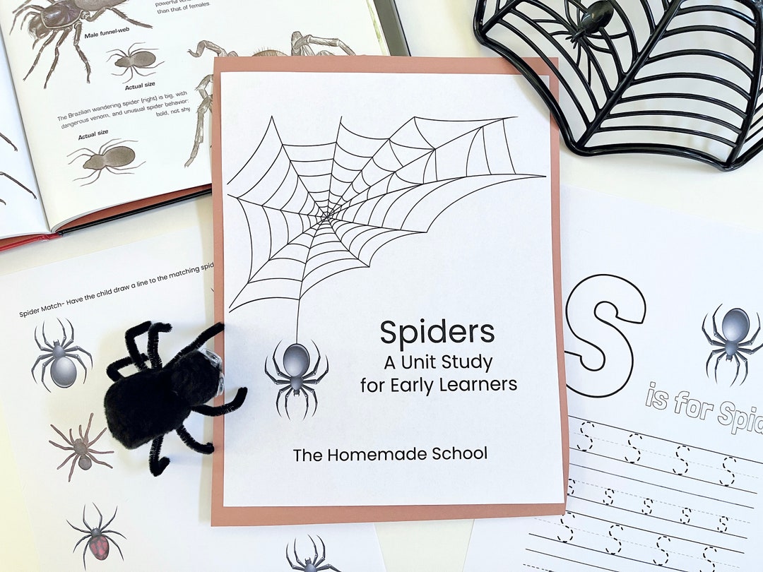 Spider Unit Study, Halloween Unit Study, Spider Life Cycle, Spider ...