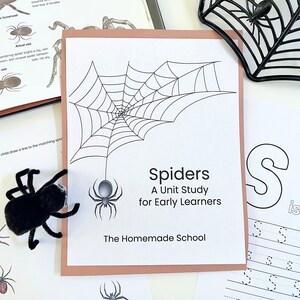 Spider Unit Study, Halloween Unit Study, Spider Life Cycle, Spider ...