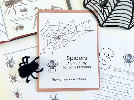 Spider Unit Study Halloween Unit Study Spider Life Cycle - Etsy