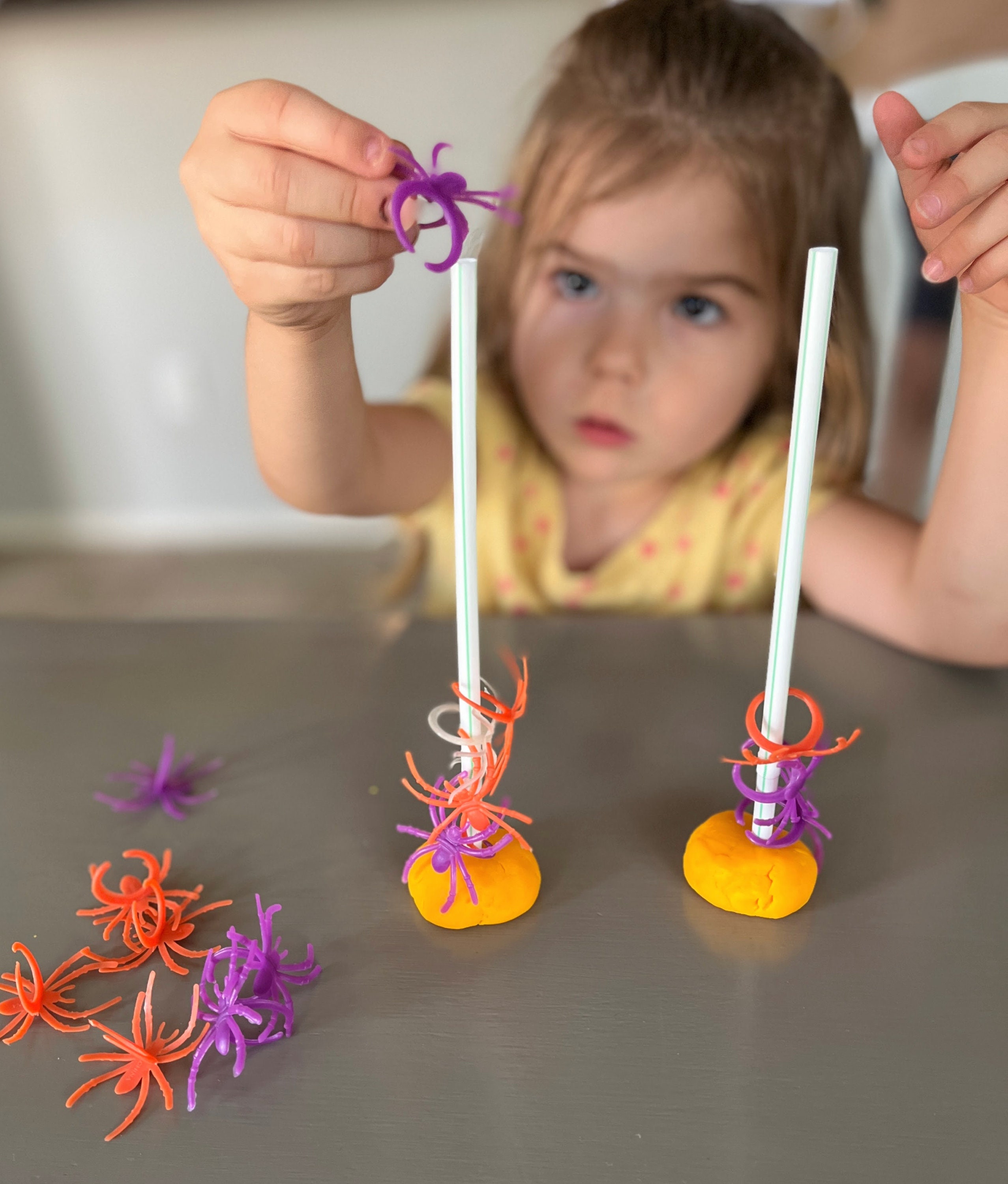 Spider Unit Study, Halloween Unit Study, Spider Life Cycle, Spider ...