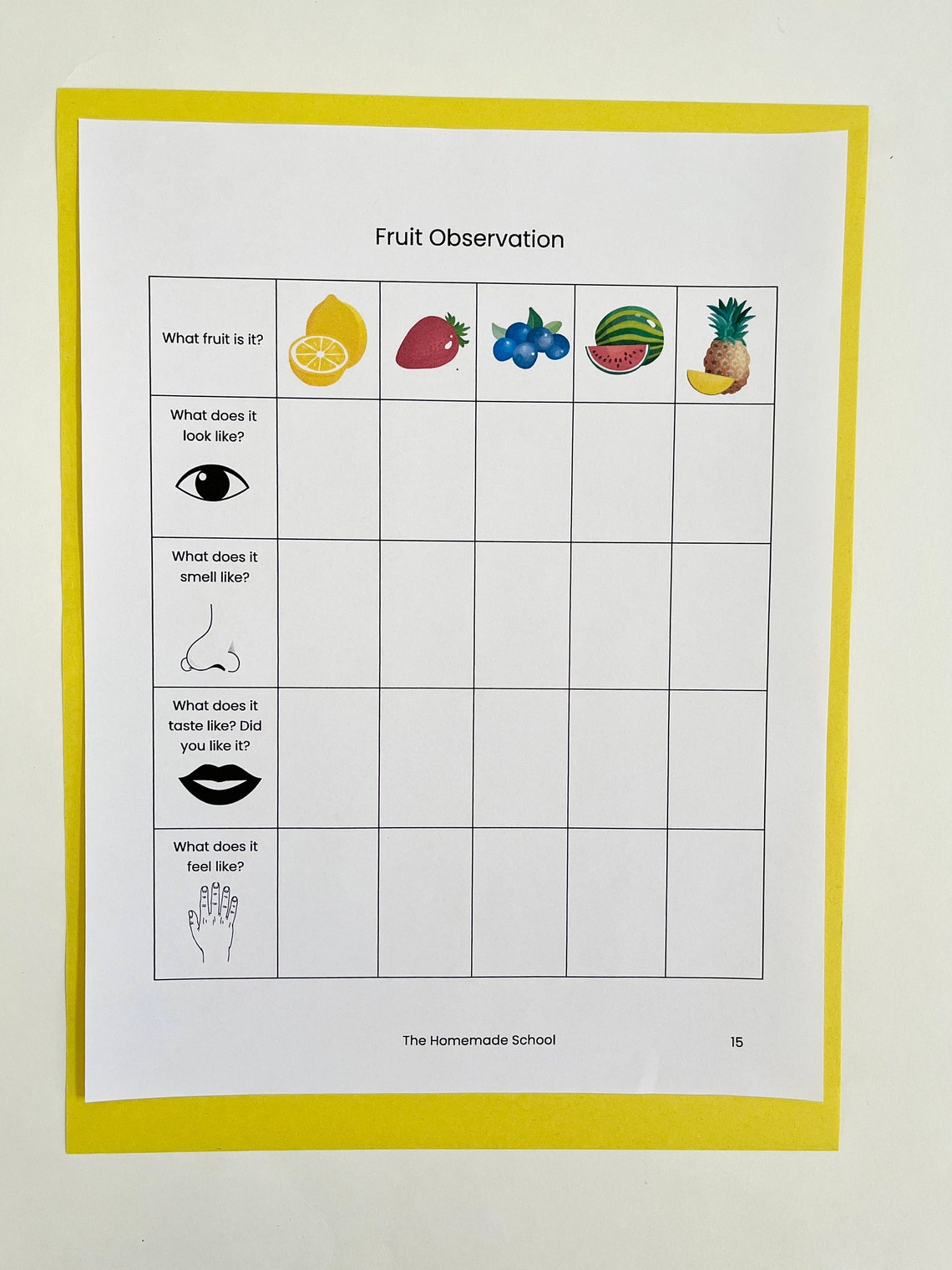 Fruit Unit Study, Summer Unit Study, Homeschool, Learning Material ...