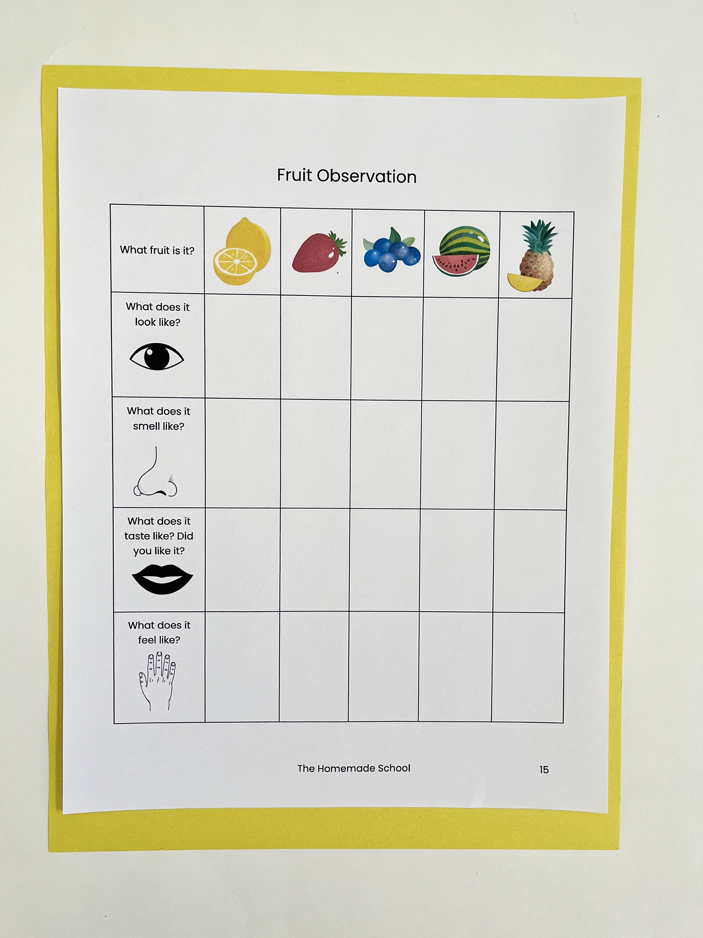 Fruit Unit Study, Summer Unit Study, Homeschool, Learning Material ...