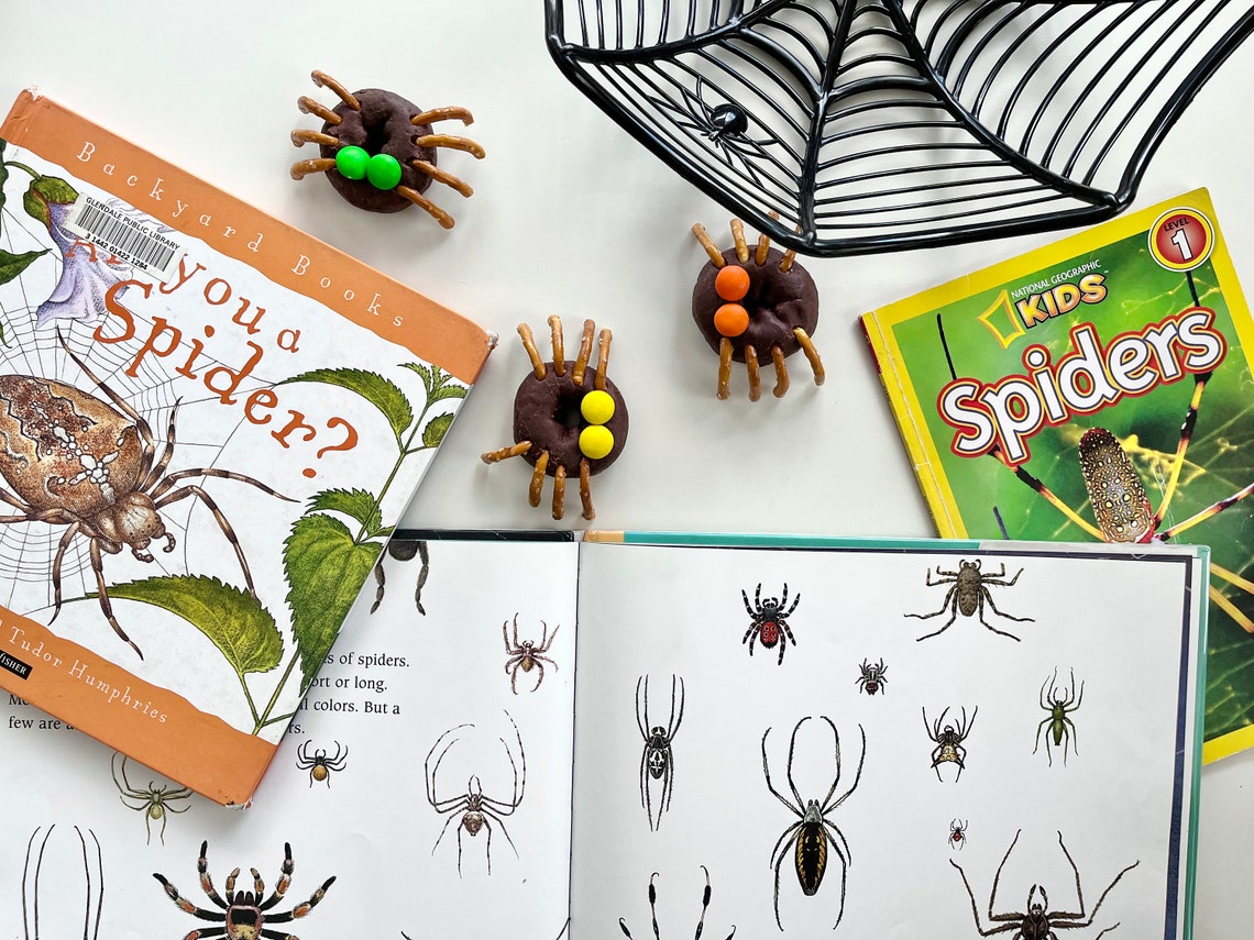 Spider Unit Study, Halloween Unit Study, Spider Life Cycle, Spider ...