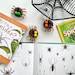 Spider Unit Study, Halloween Unit Study, Spider Life Cycle, Spider ...