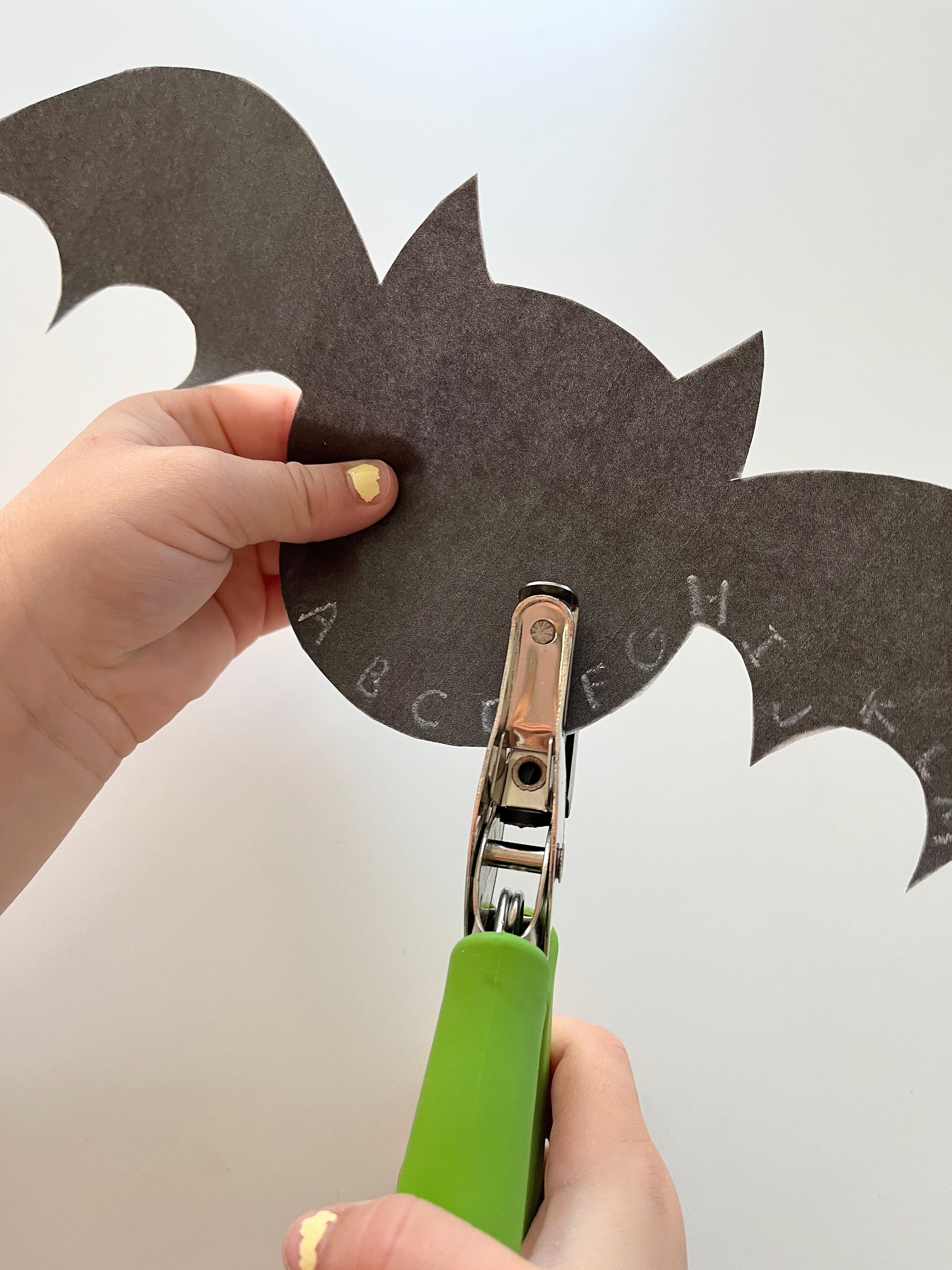 Bat Unit Study, Homeschool, Bat Printables, Bat Activity for Kids ...