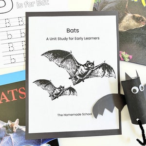 Bat Unit Study, Homeschool, Bat Printables, Bat Activity for Kids ...