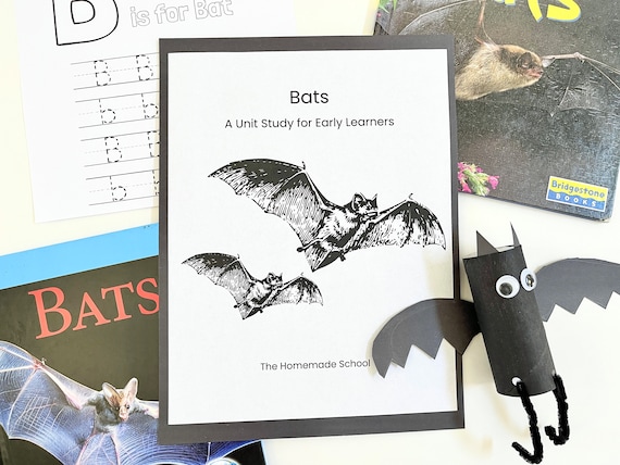 Bat Unit Study Homeschool Bat Printables Bat Activity for - Etsy