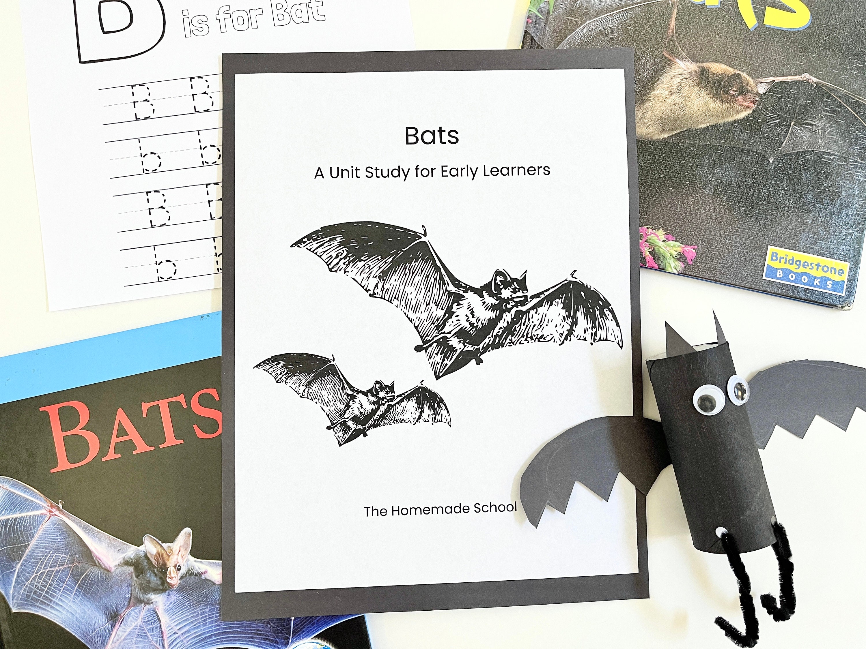 Bat Unit Study, Homeschool, Bat Printables, Bat Activity for Kids ...