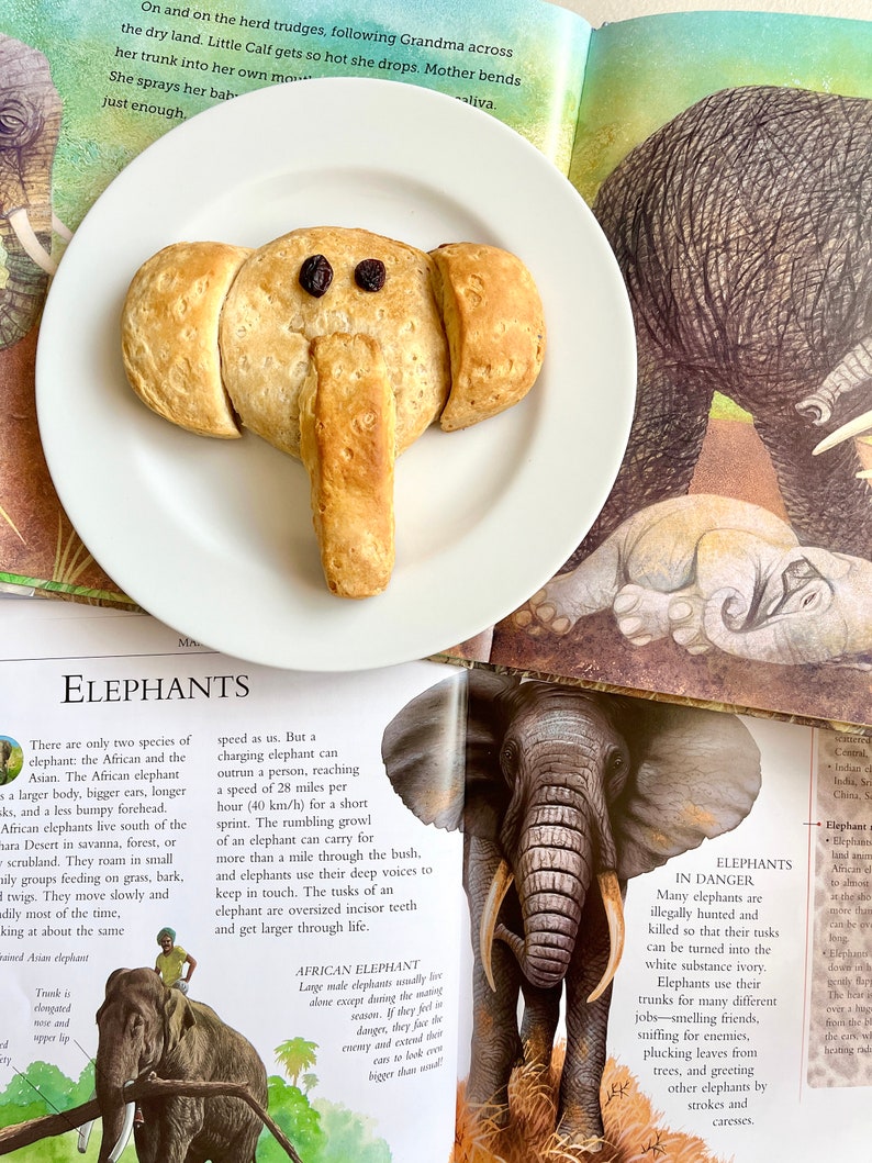 Safari Animals Unit Study, African Mammal Unit Study, African Animal ...