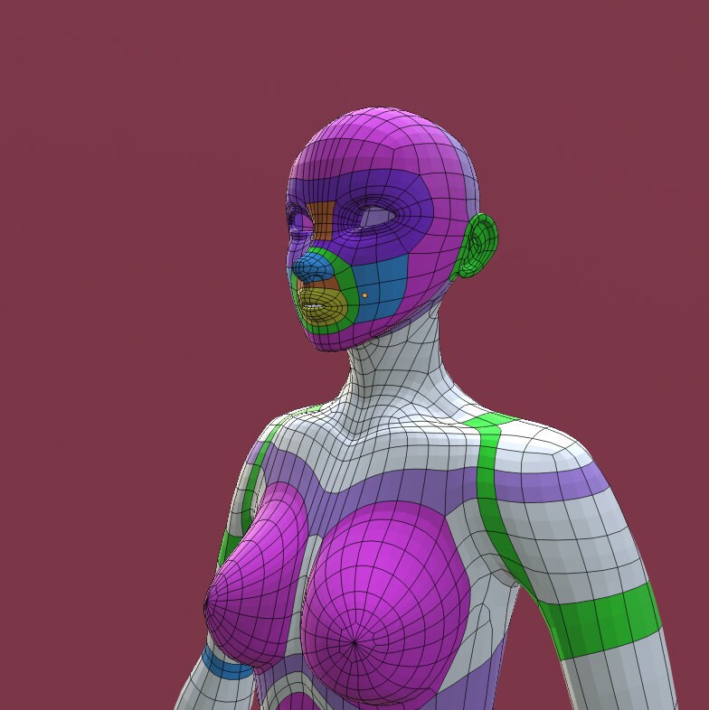 Blender Stylized 3D Model Body Topology Woman Full Animated Full ...