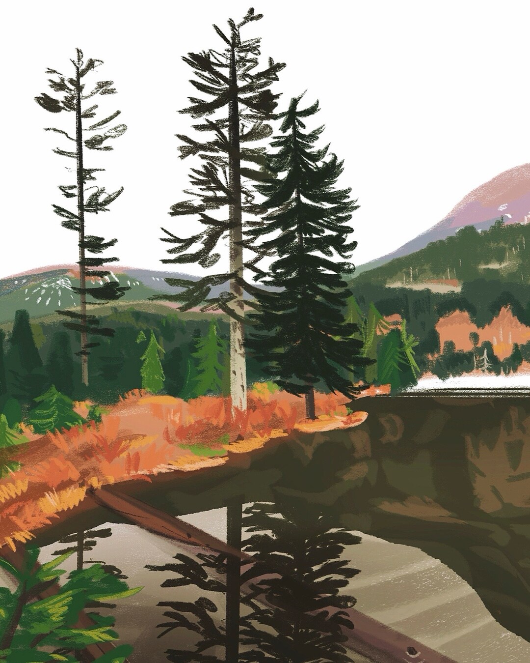 Forest Reflection - Nature Art Print - Etsy