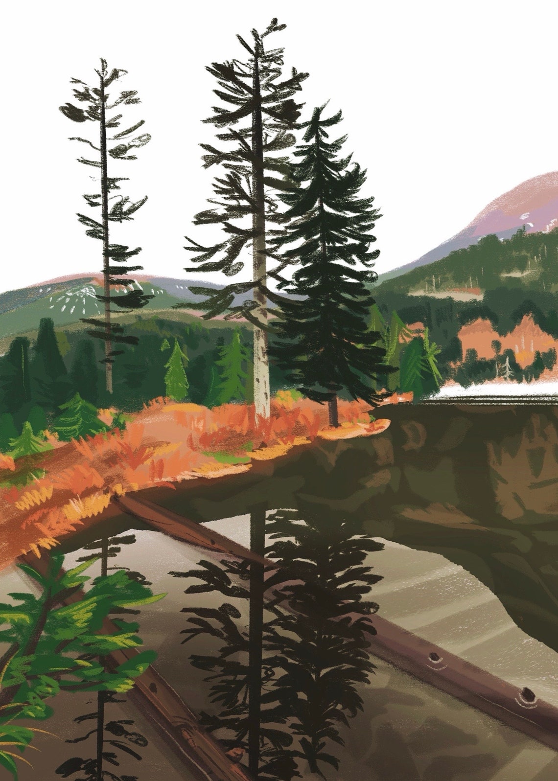 Forest Reflection - Nature Art Print - Etsy