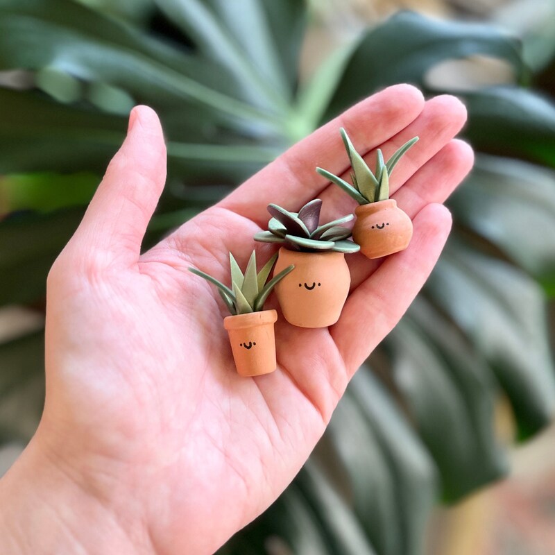 Tiny Plants - Etsy