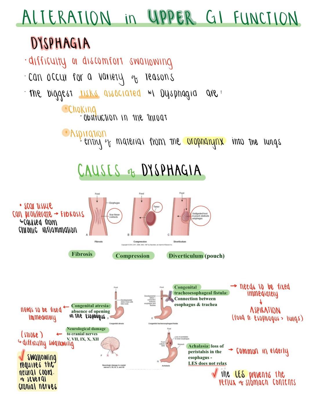 Notes on GI Tract Diseases - Etsy