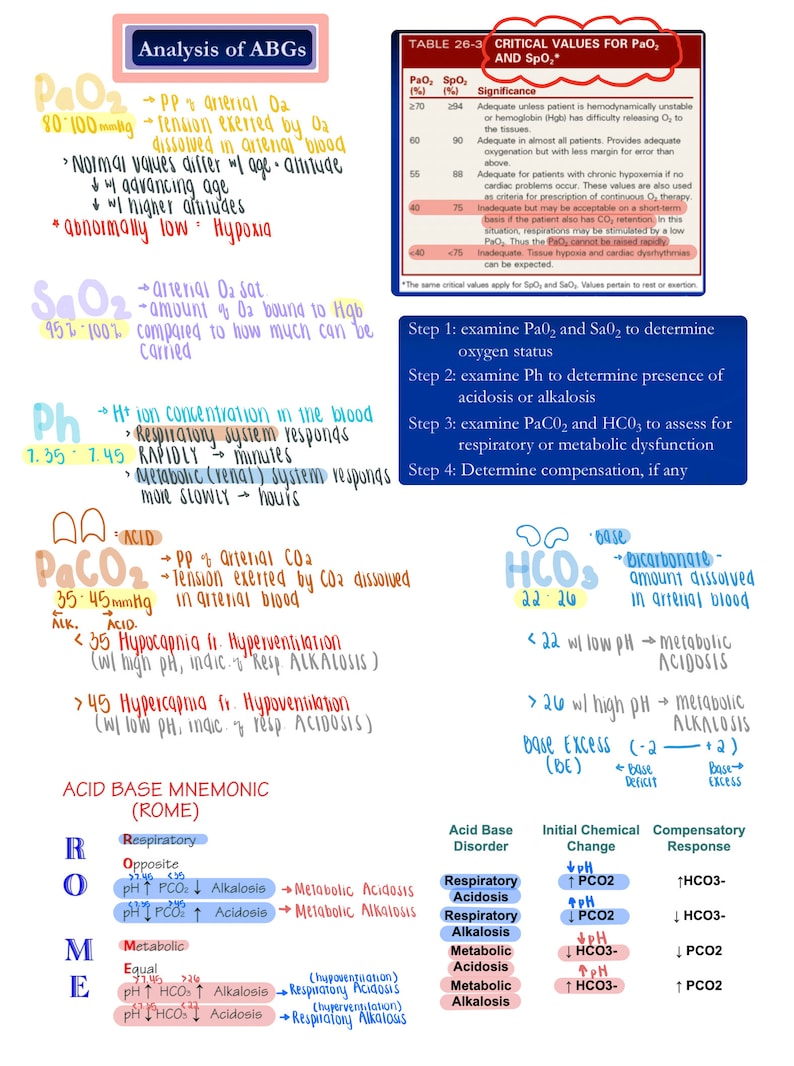 Pathophysiology Notes - Respiratory System - Etsy